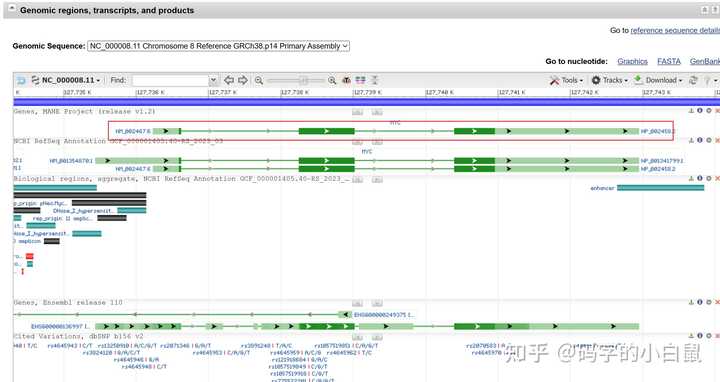 如何快速查看ncbi或者ensembl上的编码基因是处于正链上还是反链上？只能下载RNA然后去比吗？ - 知乎