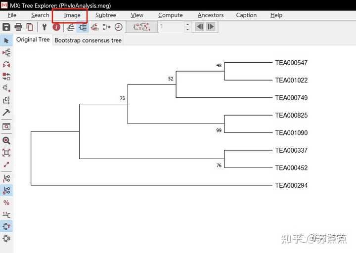 用MEGA软件制作进化树的时候，参数怎么设置？ - 知乎