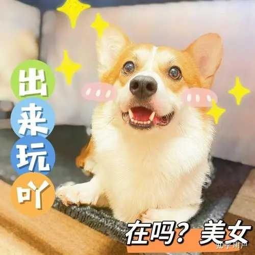 SCI期刊 DOI后面数字分别是什么意思？ - 知乎