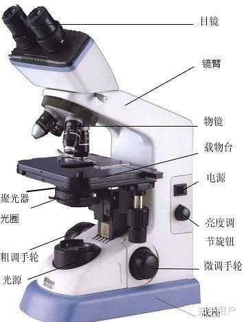 显微镜的类型和作用有哪些？ - 知乎