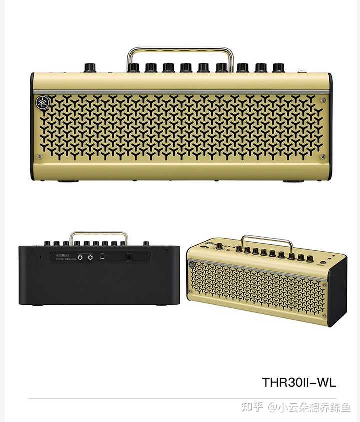 新手买THR10还是THR30? - 知乎