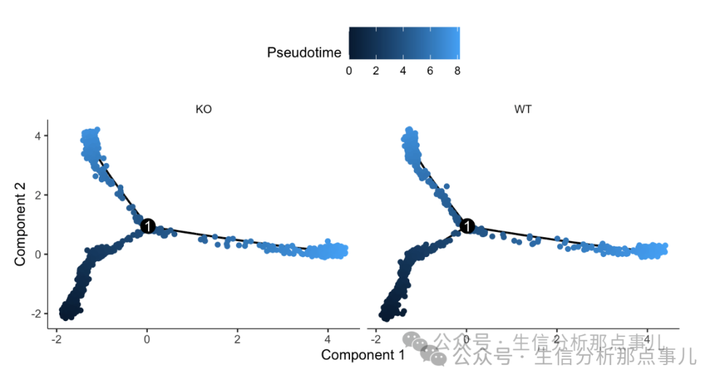 Monocle 2作图的伪时间分析的读图方法是什么？ - 知乎
