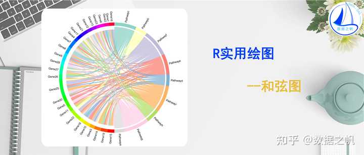 KEGG的弦图如何用R绘制？ - 知乎
