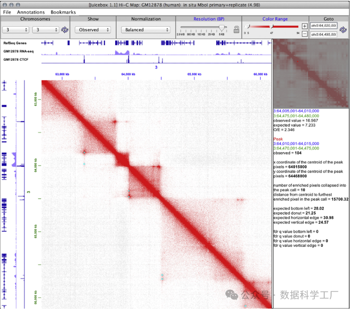 基因组测序获得了HiFi、Hi-C和DNB数据，后续应该如何分析？ - 知乎