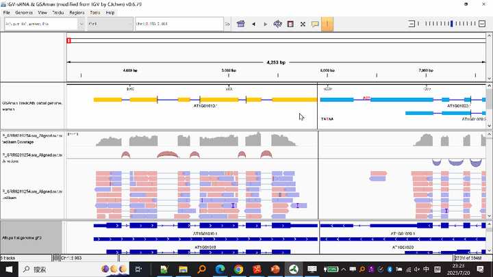 如何分析基因家族的基因结构图? - 知乎