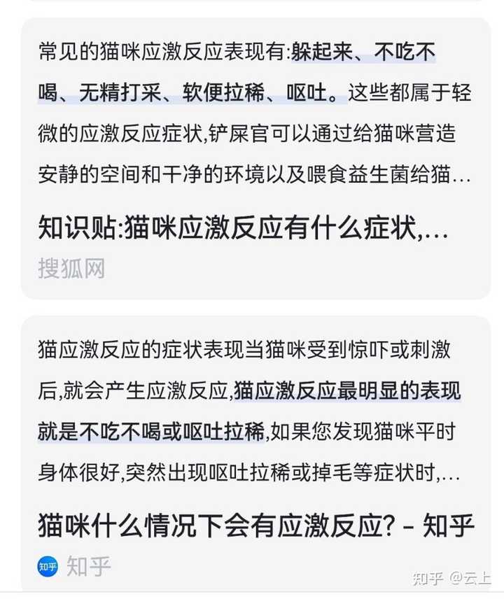 猫咪被吓尿了怎么办，在线等 知乎