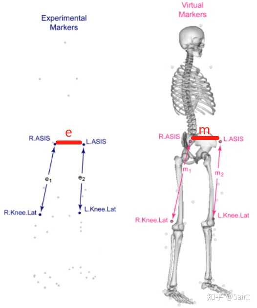 如何在OpenSim中建立一个新的人体模型？ - 知乎