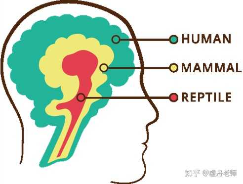 如何学会自律？ - 知乎