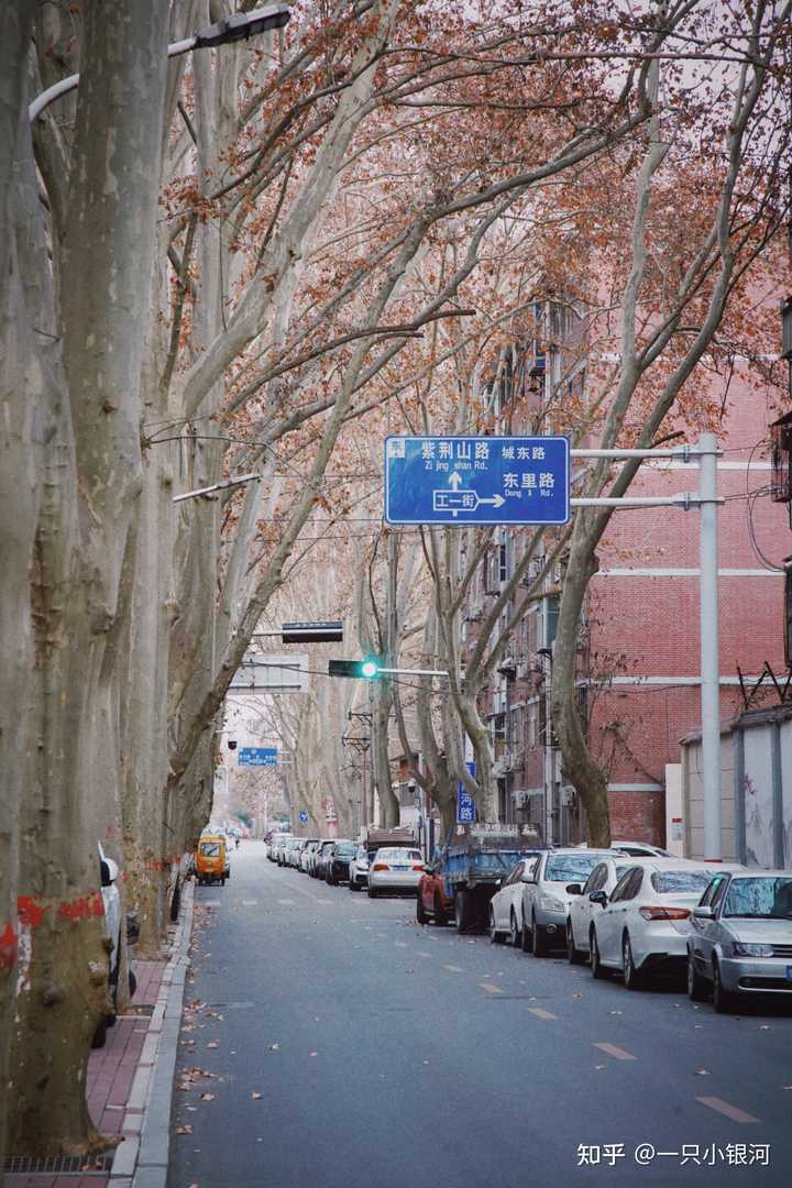 高三学生党的摄影作品，自学一年，dalao们能评价下吗? - 知乎