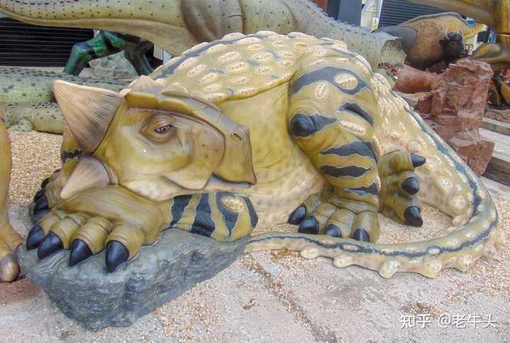 恐龙是怎么睡觉的？ - 知乎