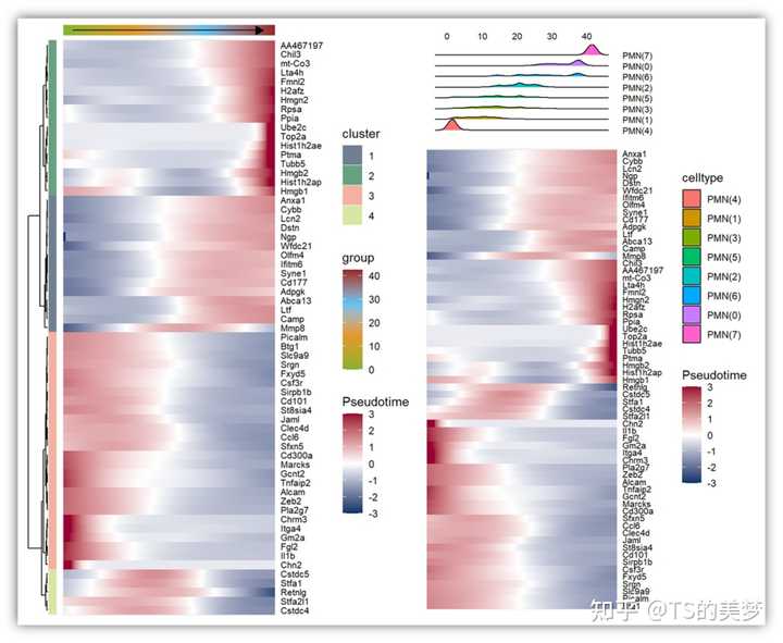 Monocle 2作图的伪时间分析的读图方法是什么？ - 知乎