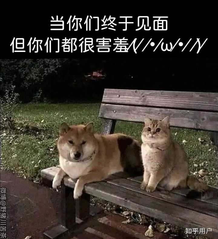 有没有那种一看就笑死的表情包或梗图? - 知乎