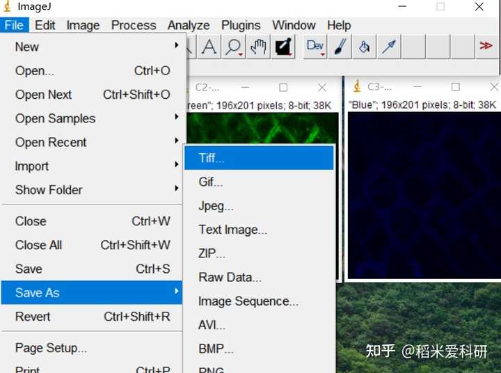 如何用imageJ做merge图? - 知乎