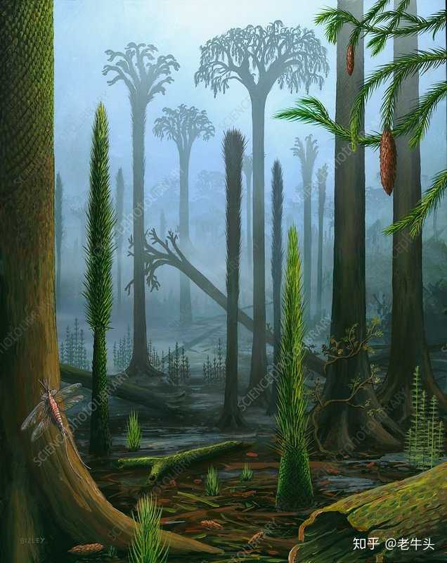 植物是怎么分类的？ - 知乎