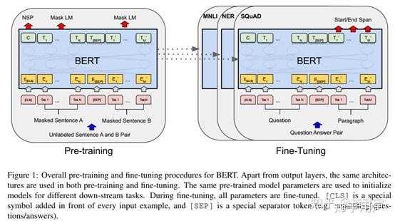 transformer和BERT的区别? - 知乎
