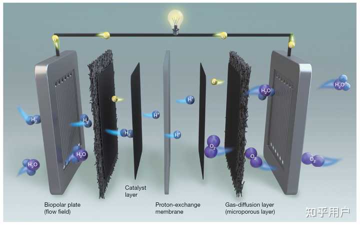 电池的膜电极组件（MEA，Membrane Electrode Assembly）包括什么? - 知乎