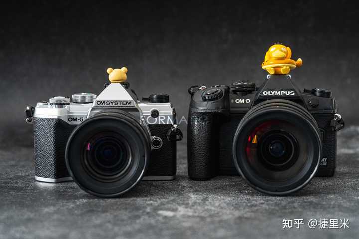 奥之心（奥林巴斯）OM-1和OM-5推荐购买那个更好？ - 知乎