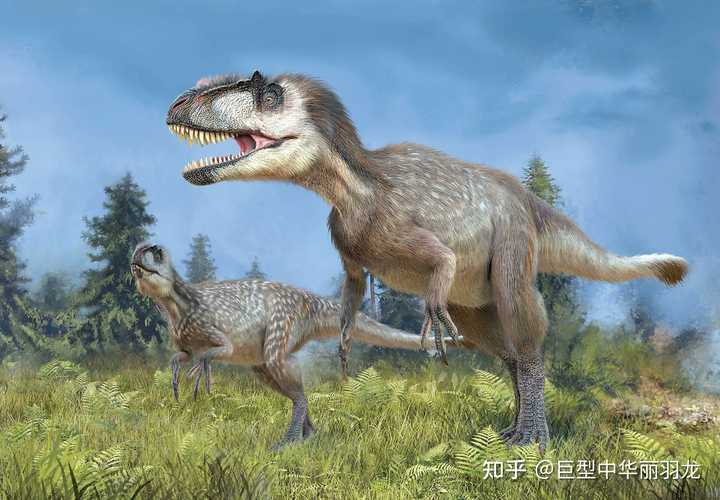 霸王龙有毛吗？ - 知乎