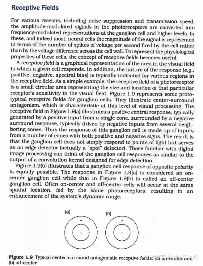 摄影中所说的「色彩科学」（Color Science）具体有哪些影响因素？ - 知乎