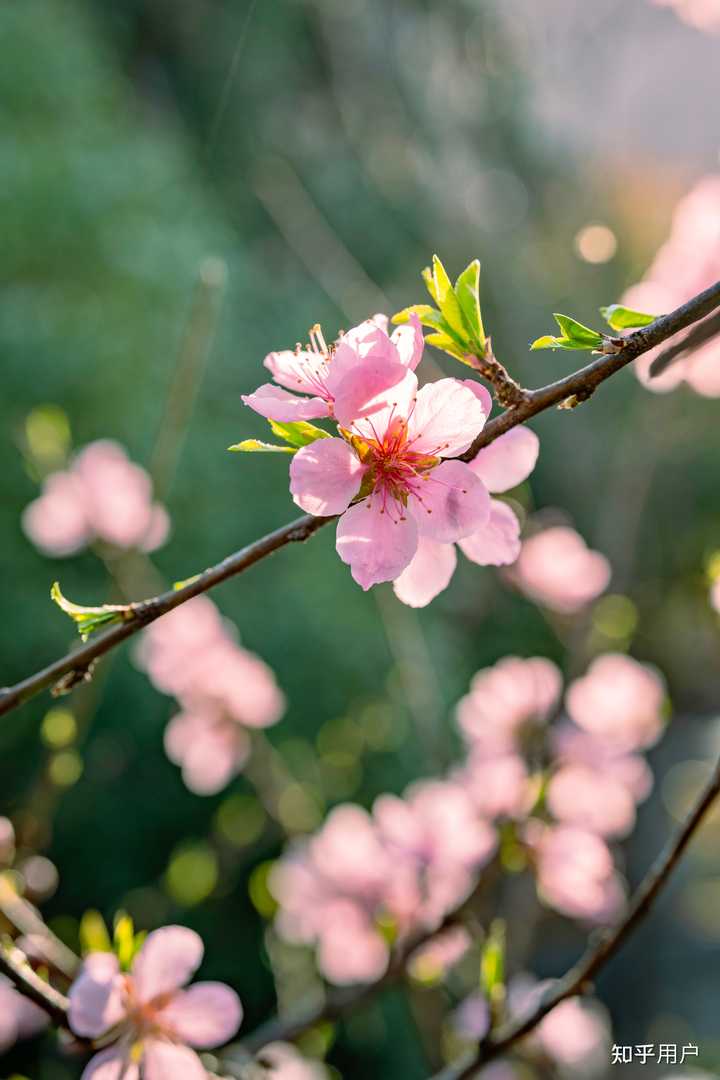 现在1.5w入手a7m4合适吗？ - 知乎