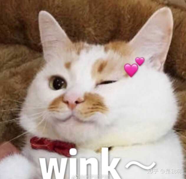 网络热词wink是什么意思？ - 知乎