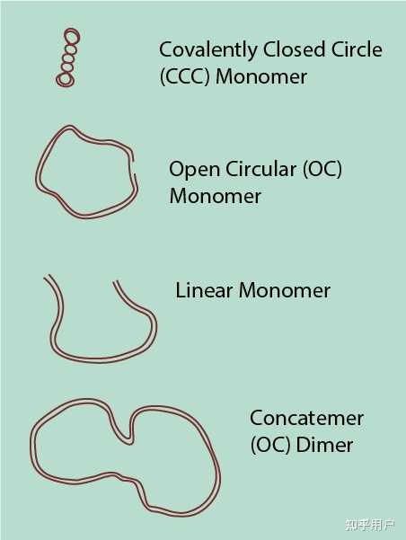 DNA纯度怎么看呀，求大佬解答? - 知乎