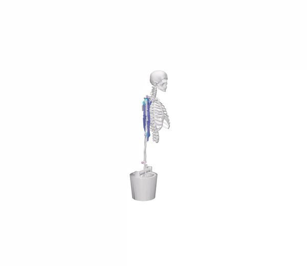 opensim_rl与外骨骼机器人仿真? - 知乎