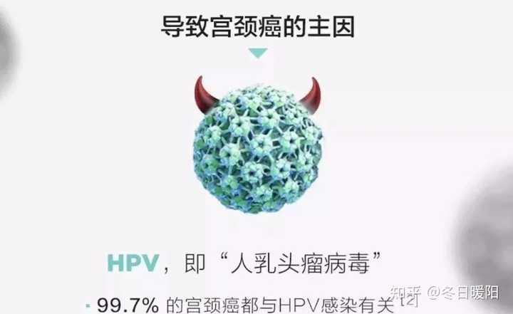 查出hpv51阳性感染，是得了癌了吗? - 知乎