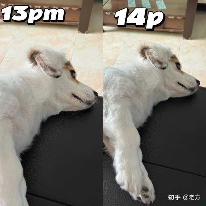 买13Promax还是14Promax呢？ - 知乎