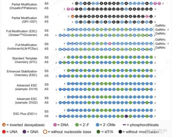 siRNA药物化学修饰模板适用于所有靶点的所有序列吗？ - 知乎