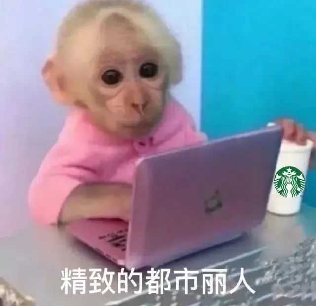 请问大家有没有猴子的表情包？ - 知乎