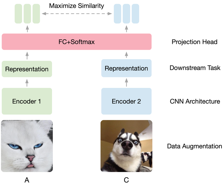 如何MoCo v1代码训练？ - 知乎