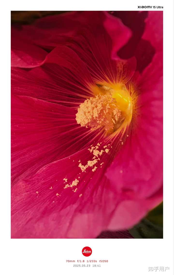 小米 15Ultra发布有一段时间了，有没有小伙伴分享一下使用感受？ - 知乎