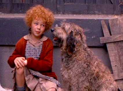 Sandy是男生名还是女生名？ - 知乎