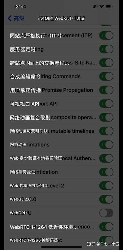 safari webkit诸多试验性功能都是那些用？哪些打开比较好? - 知乎