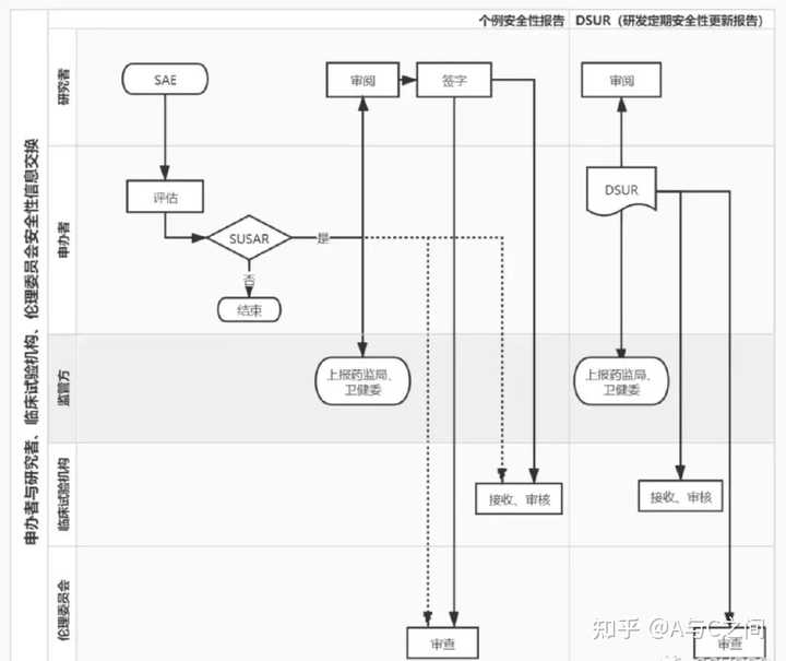 AE.ADR.SAE.SUSAR几个之间的关系及区别是什么? - 知乎