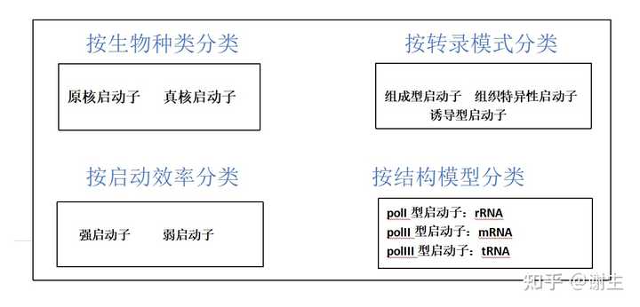 已知启动子序列怎么预测转录因子呢？ - 知乎