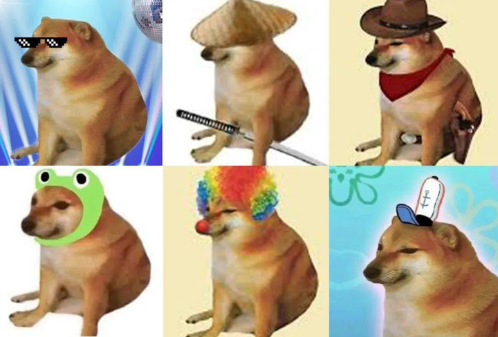 如何看待Cheems小狗离世？ - 知乎