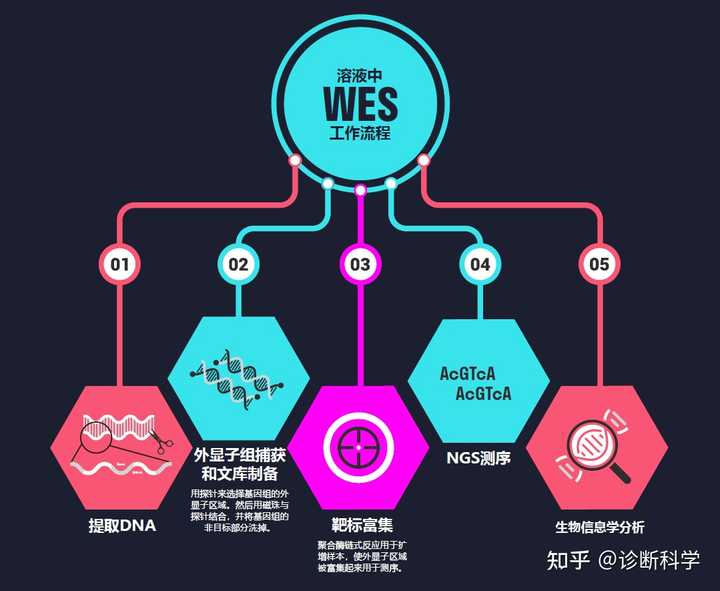 什么是WES技术（什么是全外显子组测序）？ - 知乎