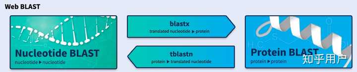 做基因序列比对，哪位大神能说一下详细步骤。用blast分析之后，该怎么做？ - 知乎