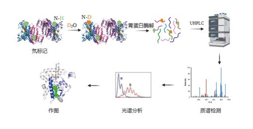 高准确度的抗体结构预测软件与抗体抗原对接预测软件推荐？ 知乎