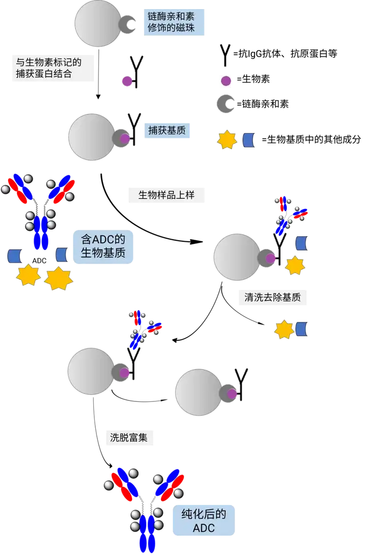 ADC的DAR值是什么，怎么检测？ - 知乎