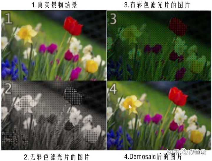 ISP(Image Signal Processor) 图像处理器的用途和工作原理？ - 知乎