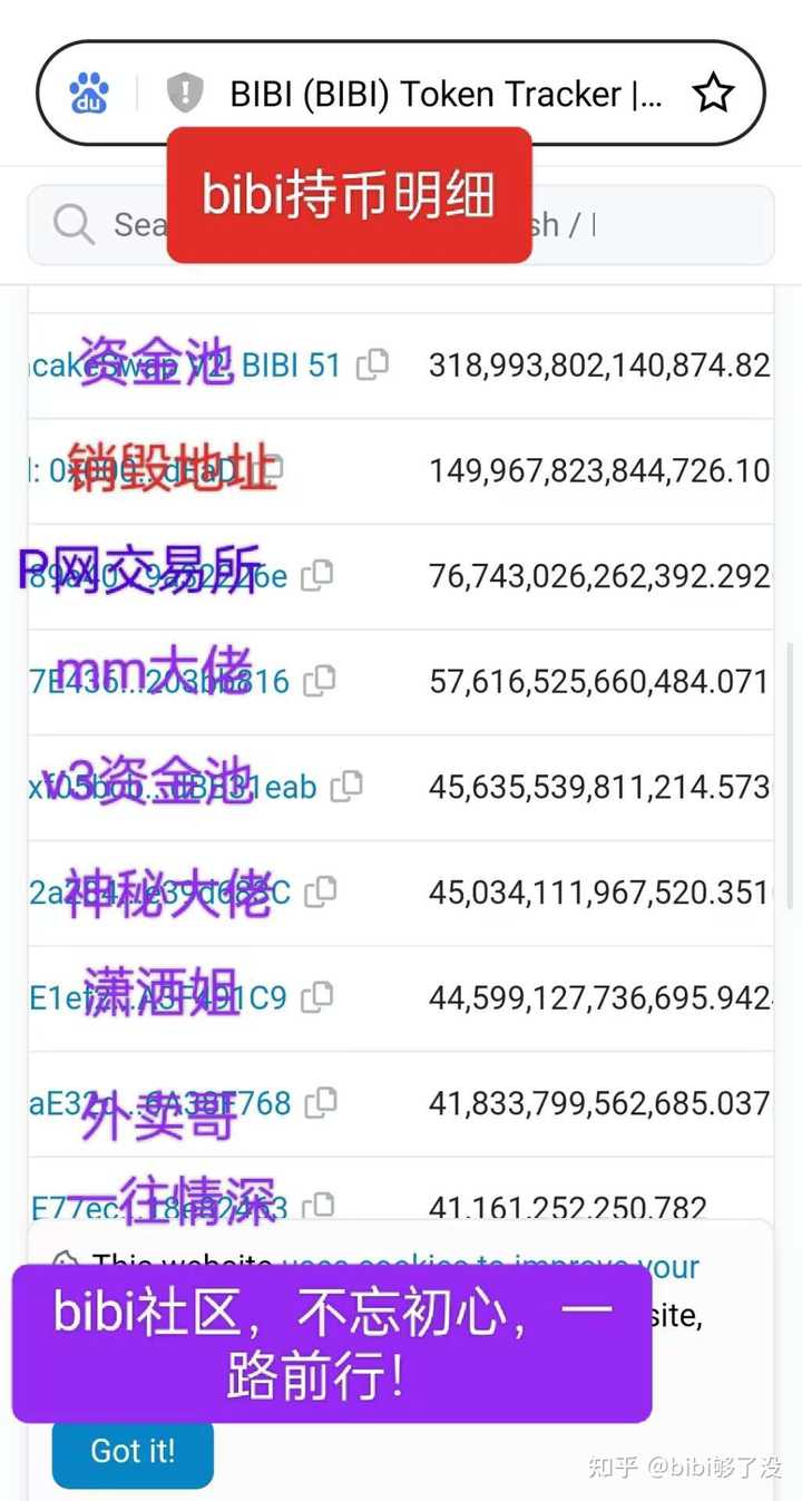 最近知乎上有个叫bibi的很火，bibi是什么？ - 知乎