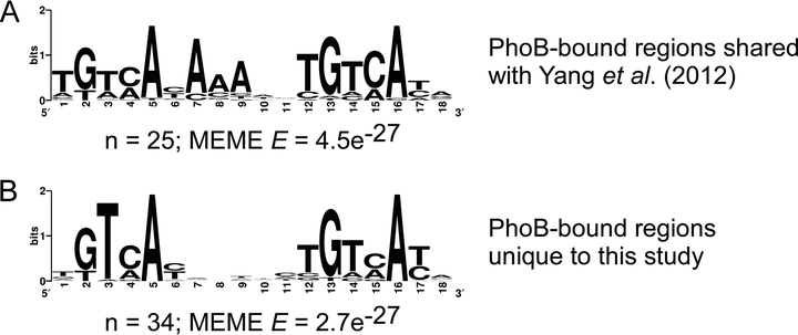 蛋白质DNA互作研究，选ChIP还是CUT&Tag? - 知乎
