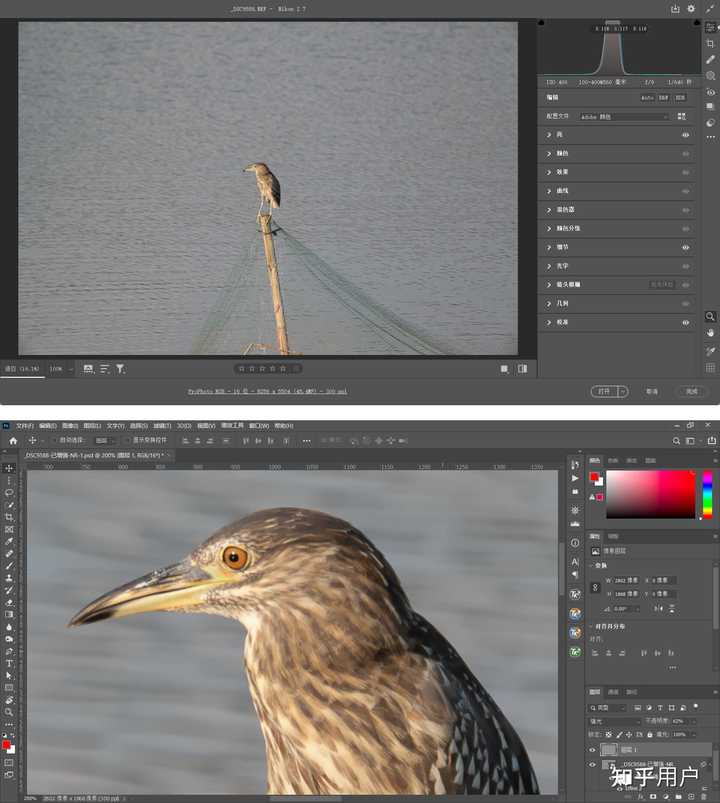 尼康z63出来后，z63 z72 z8 选谁? - 知乎