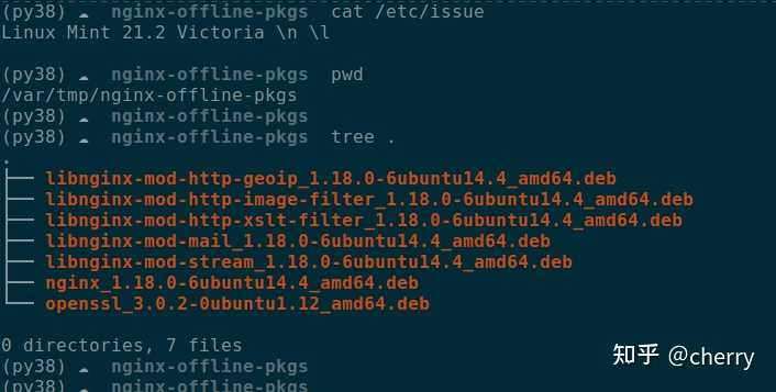 ubuntu如何离线安装nginx？ - 知乎