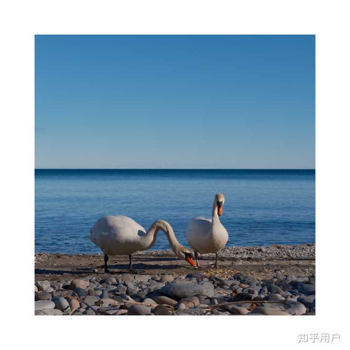 富士Xt5和索尼A7c2怎么选? - 知乎