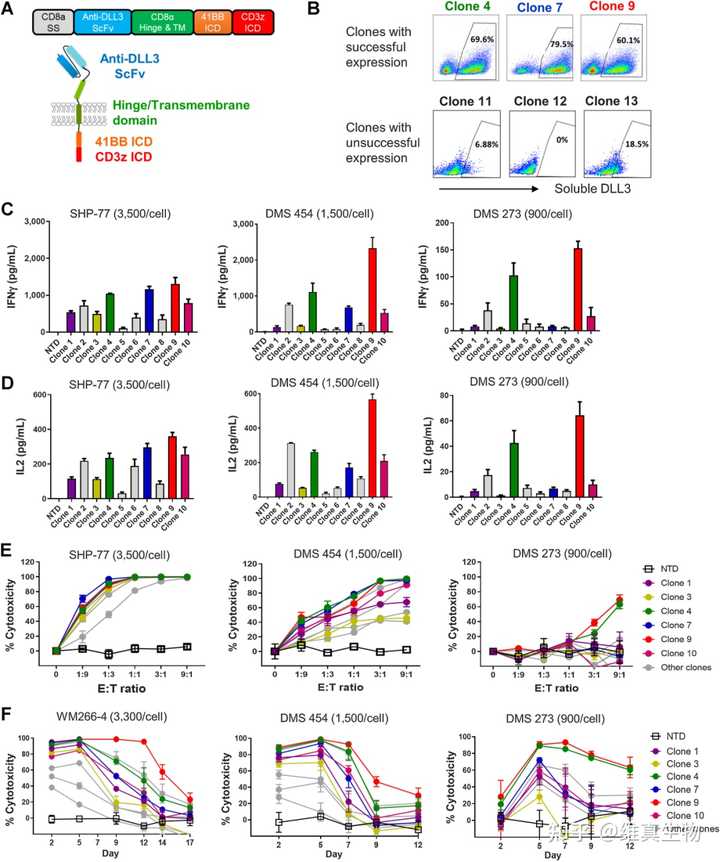 IL-7、IL-15细胞因子在CAR-T细胞疗法中发挥什么作用？ - 知乎