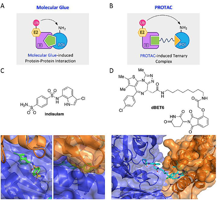 什么是分子胶，和PROTAC有什么区别？靶向蛋白降解剂的原理及开发？ - 知乎